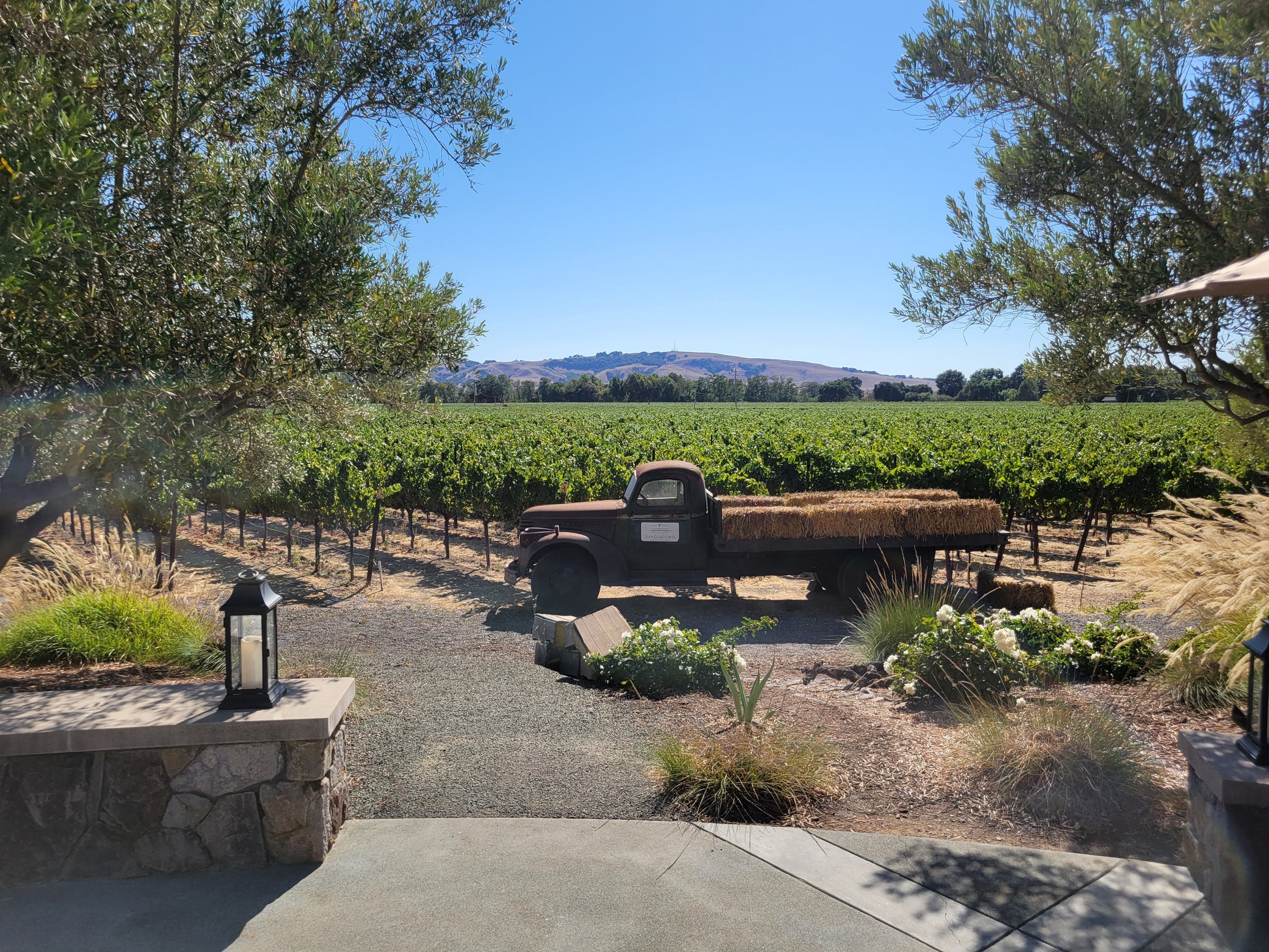 2026 Sojourn Winter Release Event - Sonoma – Sojourn Cellars